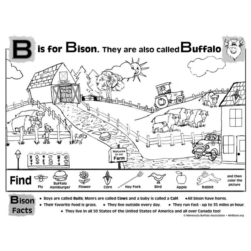 Hide And Seek Pads Minnesota Bison Association Hide And Seek Pads Minnesota Bison Association